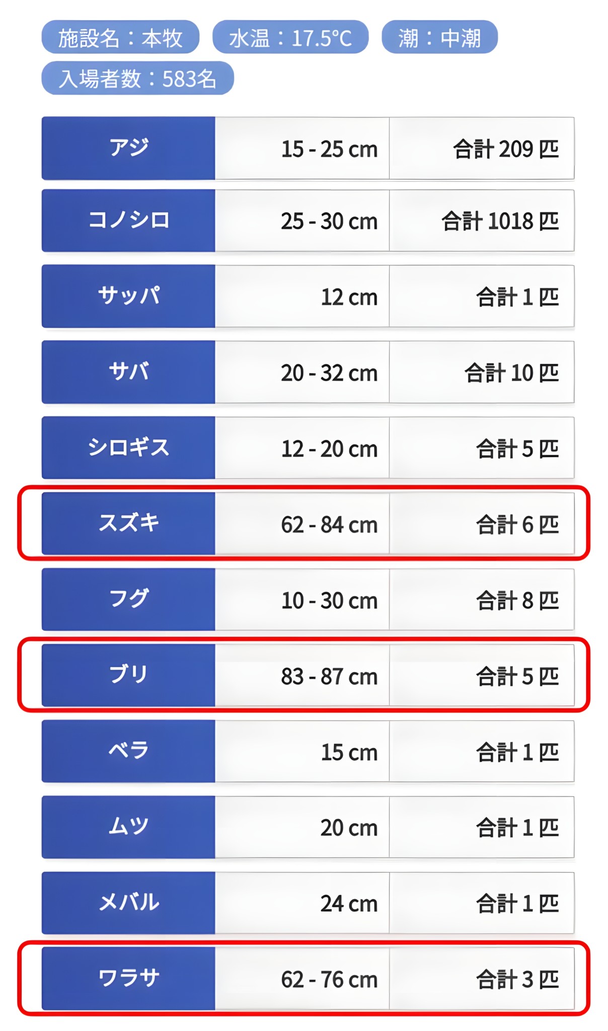 誰でも簡単にブリを狙える！5分でわかる泳がせ釣り 仕掛けタックルまとめ | 55FISHING
