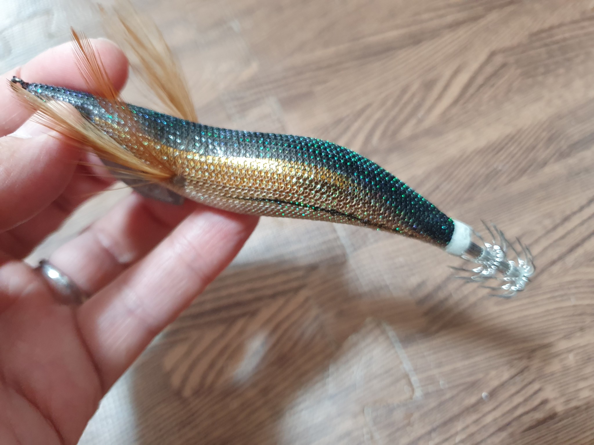 【新作ダイソーエギ】シリヤケイカがヒット！仕掛けも大公開 | 55FISHING