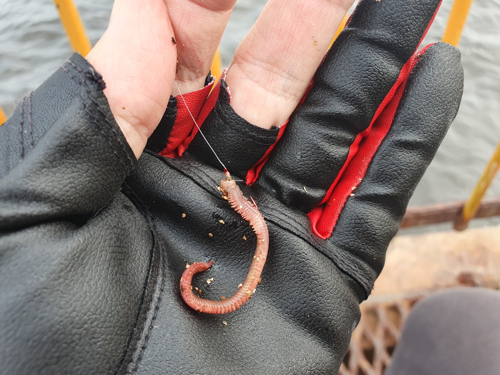 【マゴチ釣り】その場で釣ったハゼで良型マゴチを捕獲成功！！釣れた秘訣？！ | 55FISHING