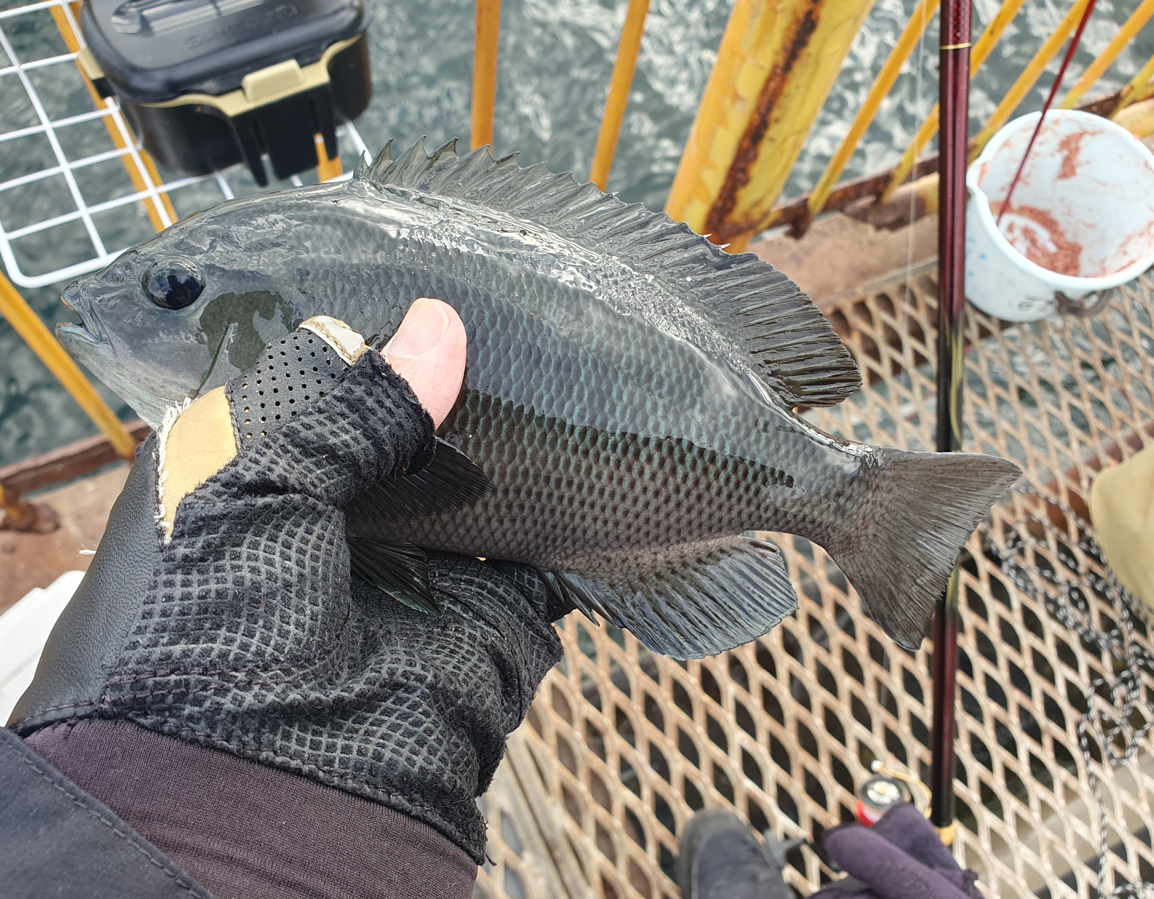 20251122_140630 | 55FISHING